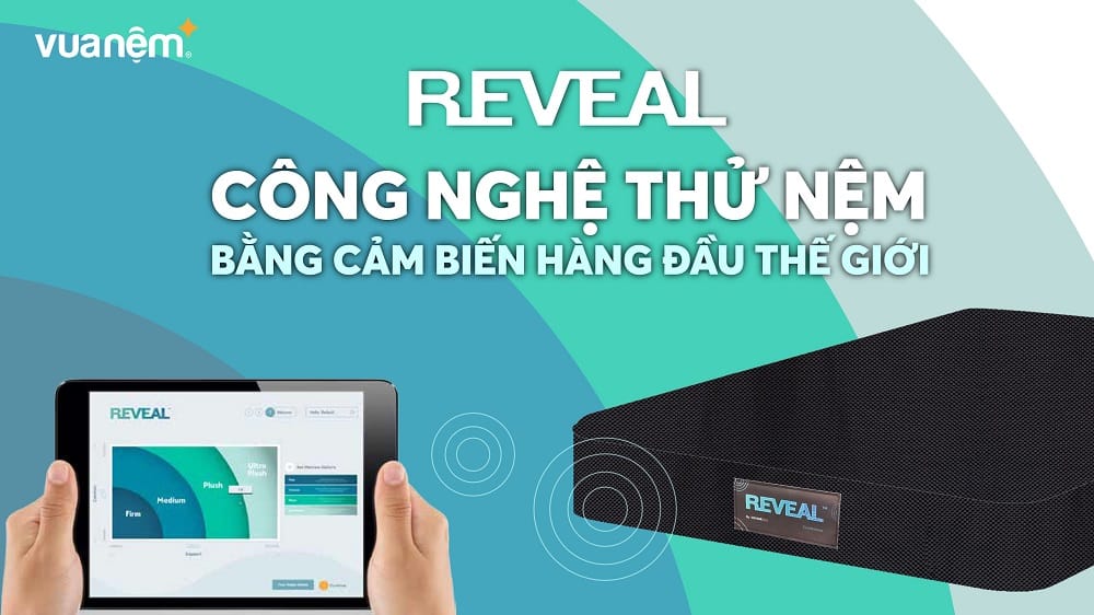 Tìm hiểu kết quả từ máy đo áp lực cơ thể Reveal by XSensor