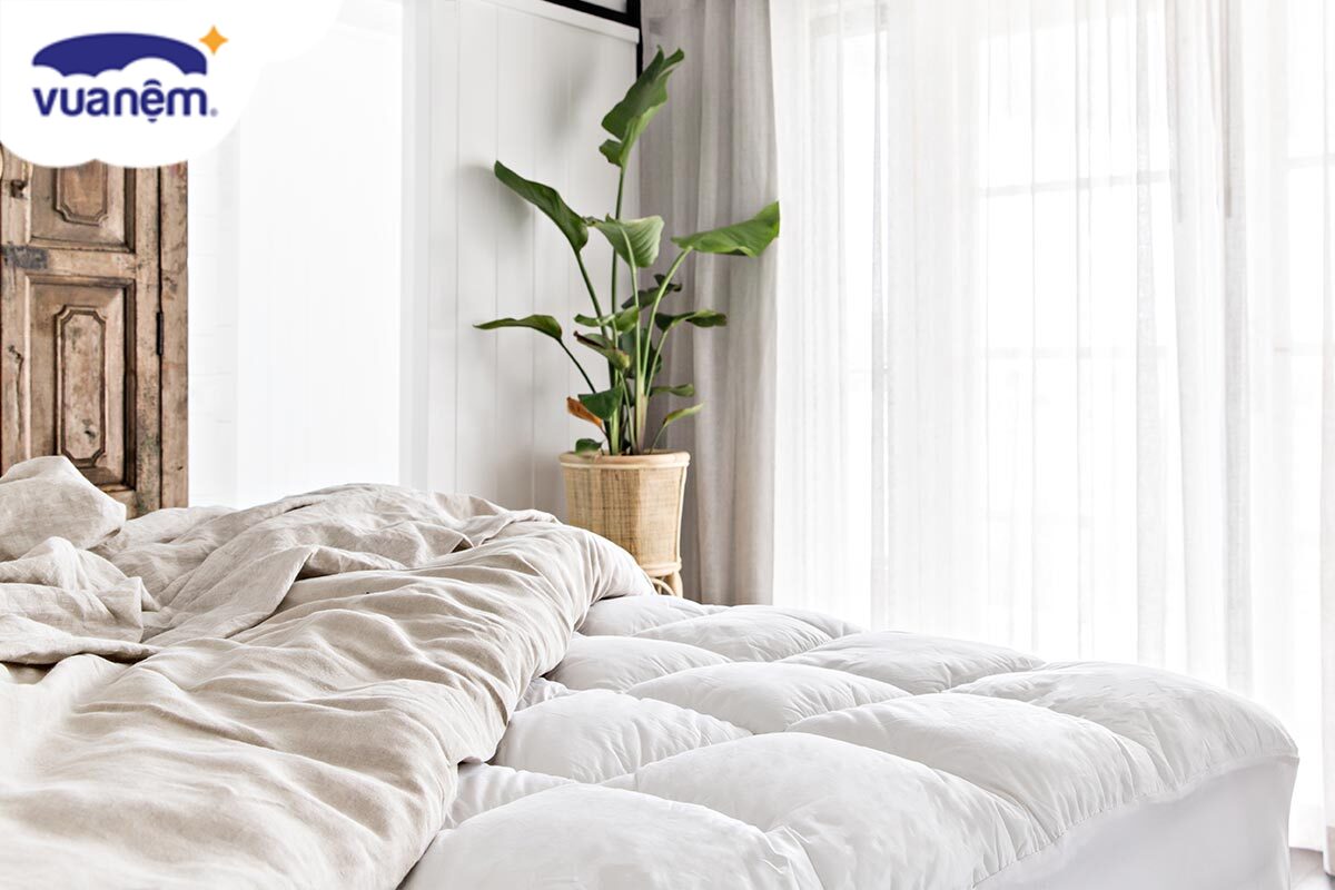 Topper lông vũ nhân tạo và tự nhiên - nên chọn loại nào? - Vua Nệm