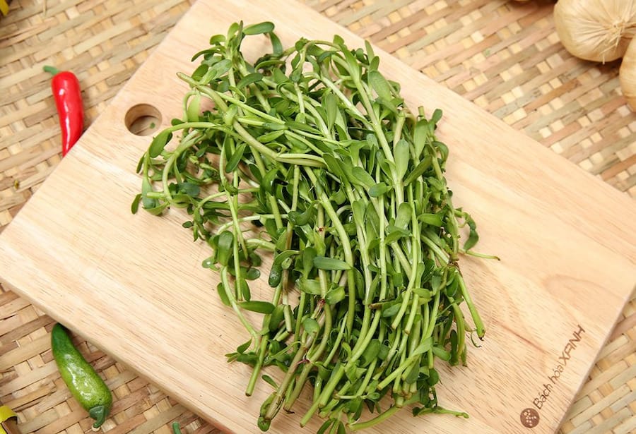 Rau đắng là rau gì? Tác dụng của rau đắng là gì? - Vua Nệm