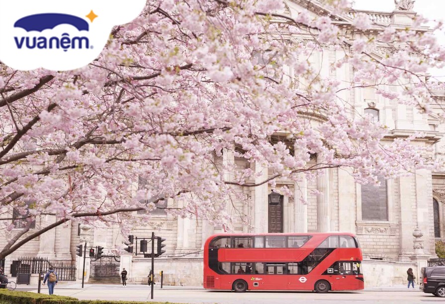 Đặc điểm của mùa xuân là gì - Tất cả những gì bạn cần biết